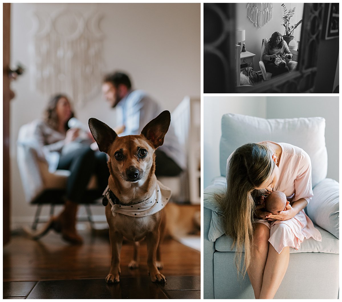 Best Places to Photograph Inside: at home Photography Sessions ...